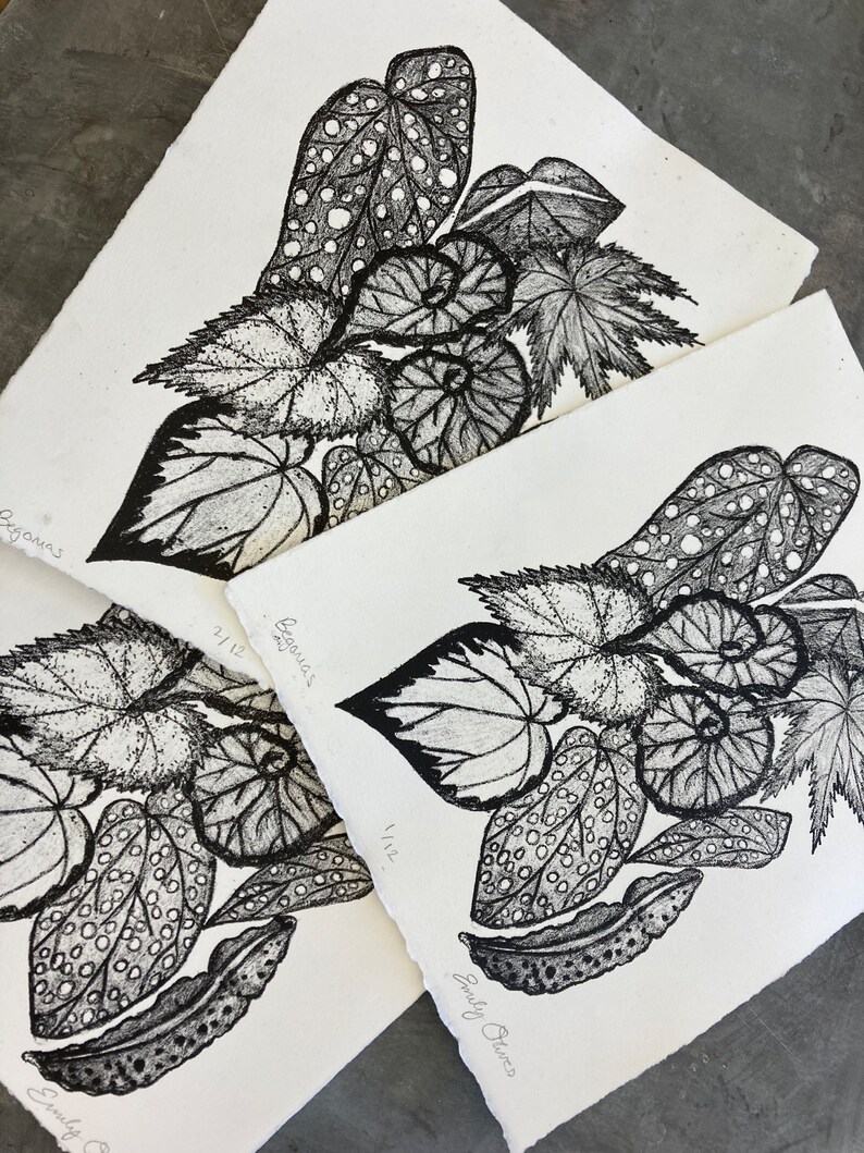 Begonia Leaves Print - Etsy