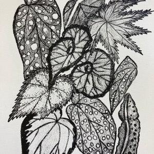 Begonia Leaves Print - Etsy