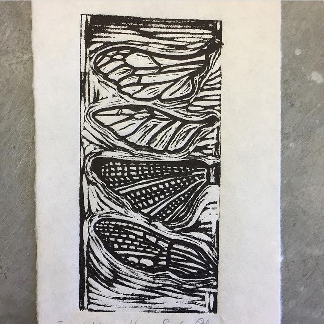 Insect Wings Print - Etsy