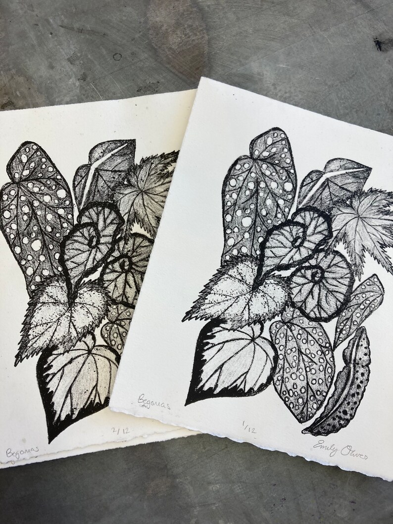 Begonia Leaves Print - Etsy
