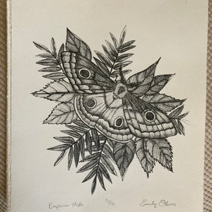 Emperor Moth Print - Etsy