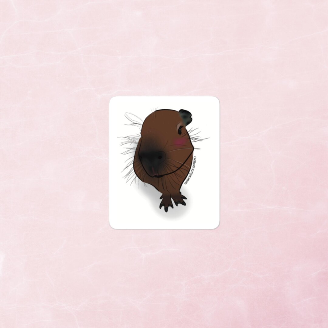 Cute Kawaii Capybara "do You Think I'm Pretty?" Bubble-free Stickers - Etsy