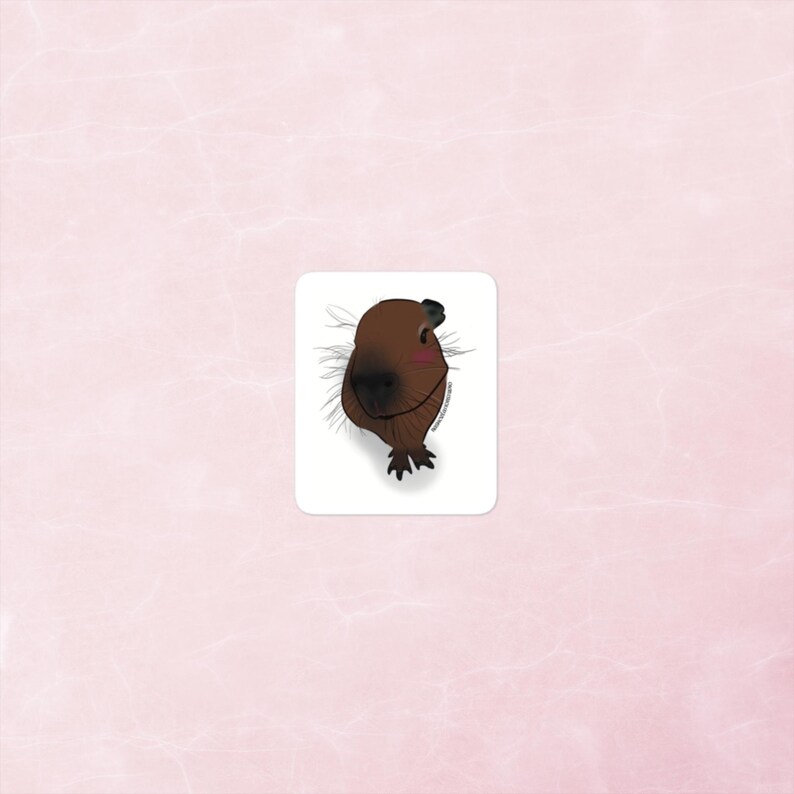 Cute Kawaii Capybara "do You Think I'm Pretty?" Bubble-free Stickers - Etsy