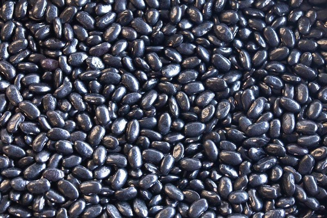 Vara Black Bean Seeds - Etsy