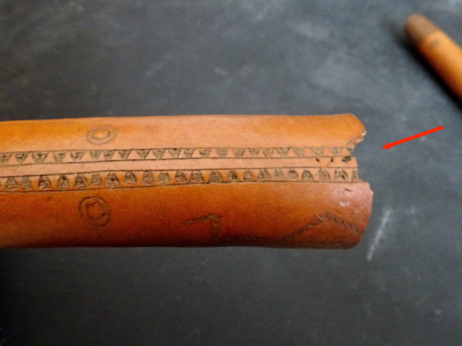 3 Koteka Penis Gourds. Phallocrypt,tribal Penis Sheath - Etsy