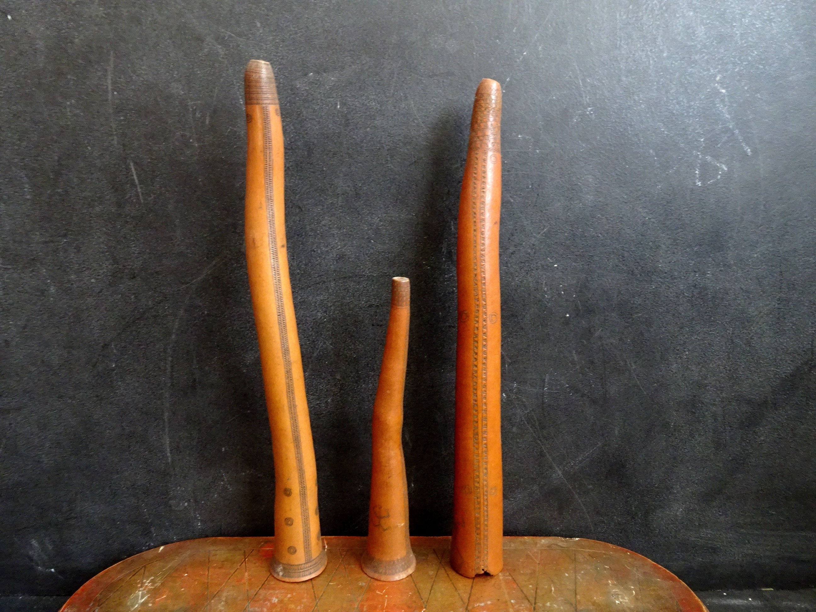 3 Koteka Penis Gourds. Phallocrypt,tribal Penis Sheath - Etsy