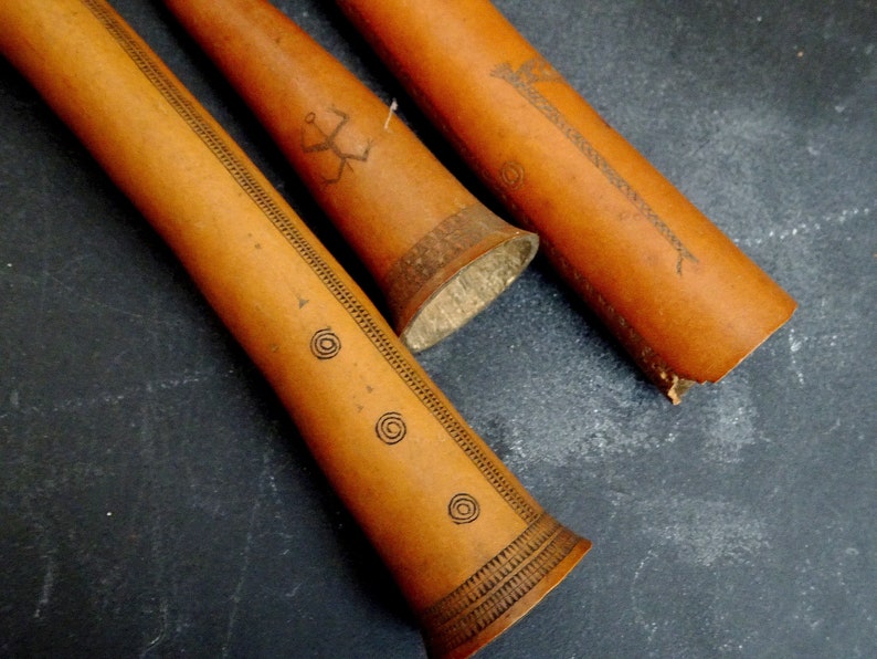 3 Koteka Penis Gourds. Phallocrypt,tribal Penis Sheath - Etsy