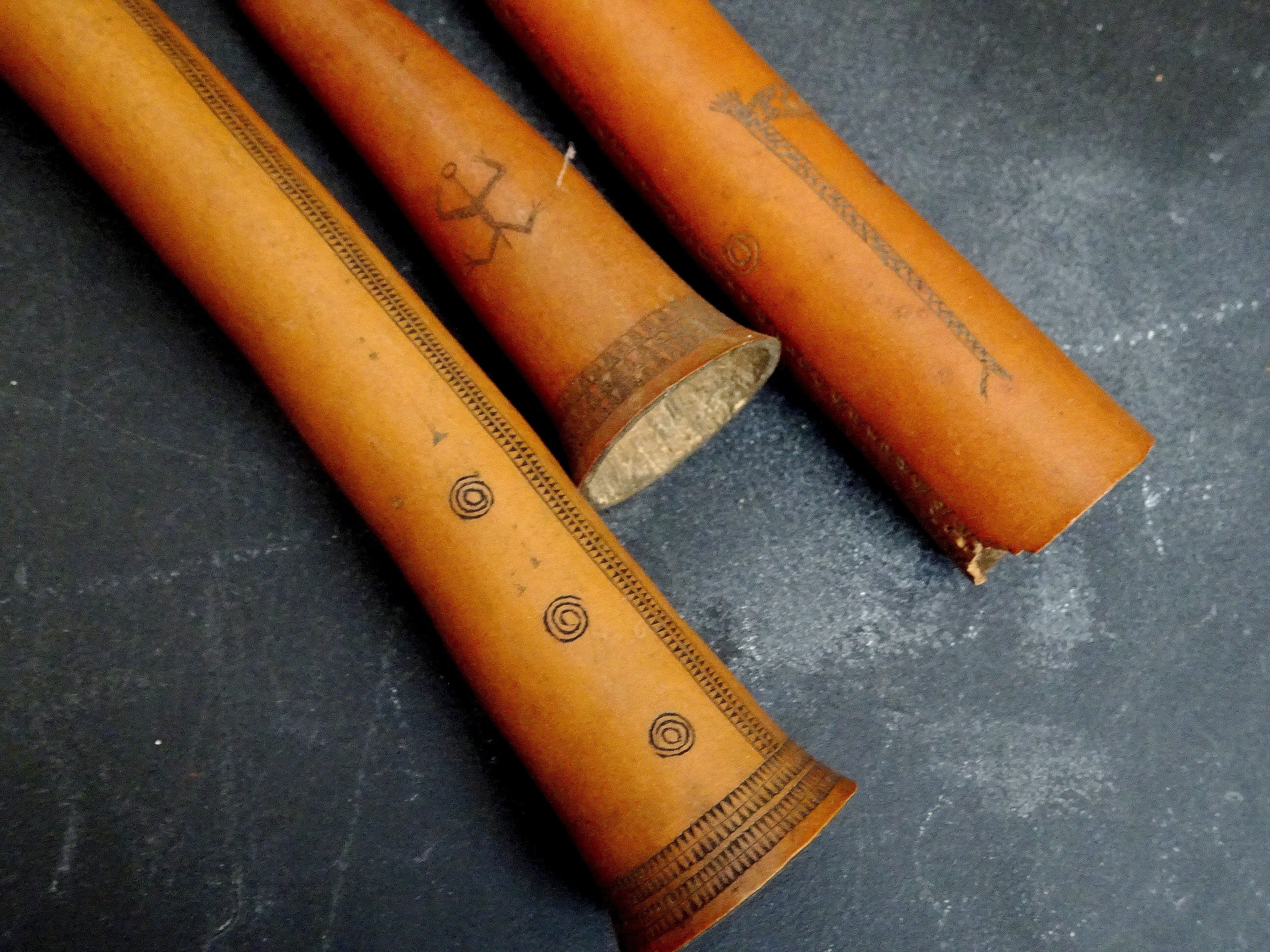 3 Koteka Penis Gourds. Phallocrypt,tribal Penis Sheath - Etsy