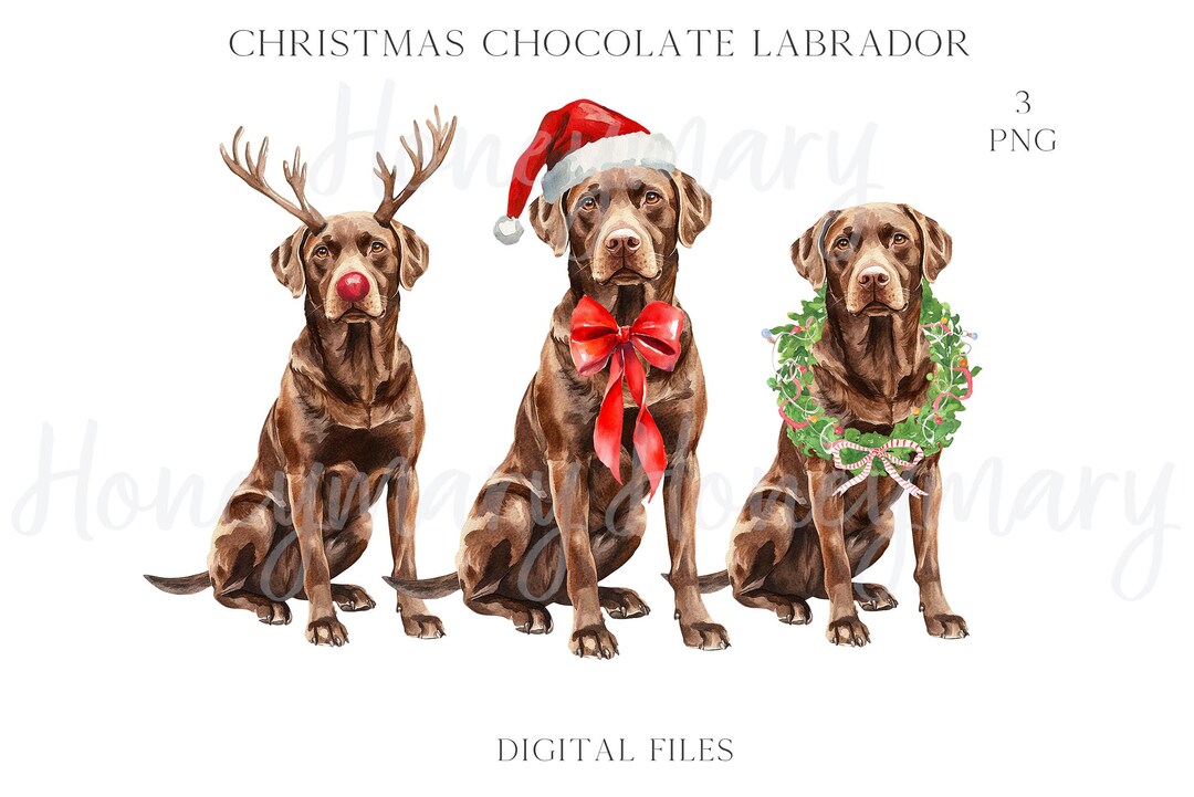 Watercolor Christmas Labrador PNG Clipart, Holiday Dogs (digital ...