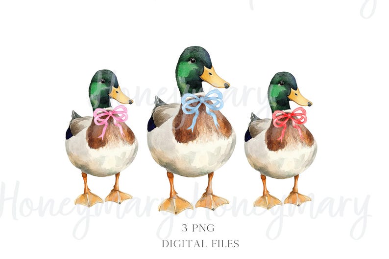 Mallard Duck Coquette Bow PNG Clipart Printable - Etsy