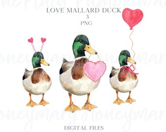 Watercolor Valentines Chinoiserie Topiary Hearts PNG Clipart Coquette ...