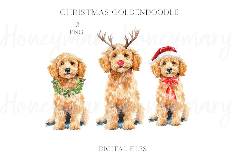 Watercolor Christmas Goldendoodle PNG Clipart, Santa Hat (digital ...