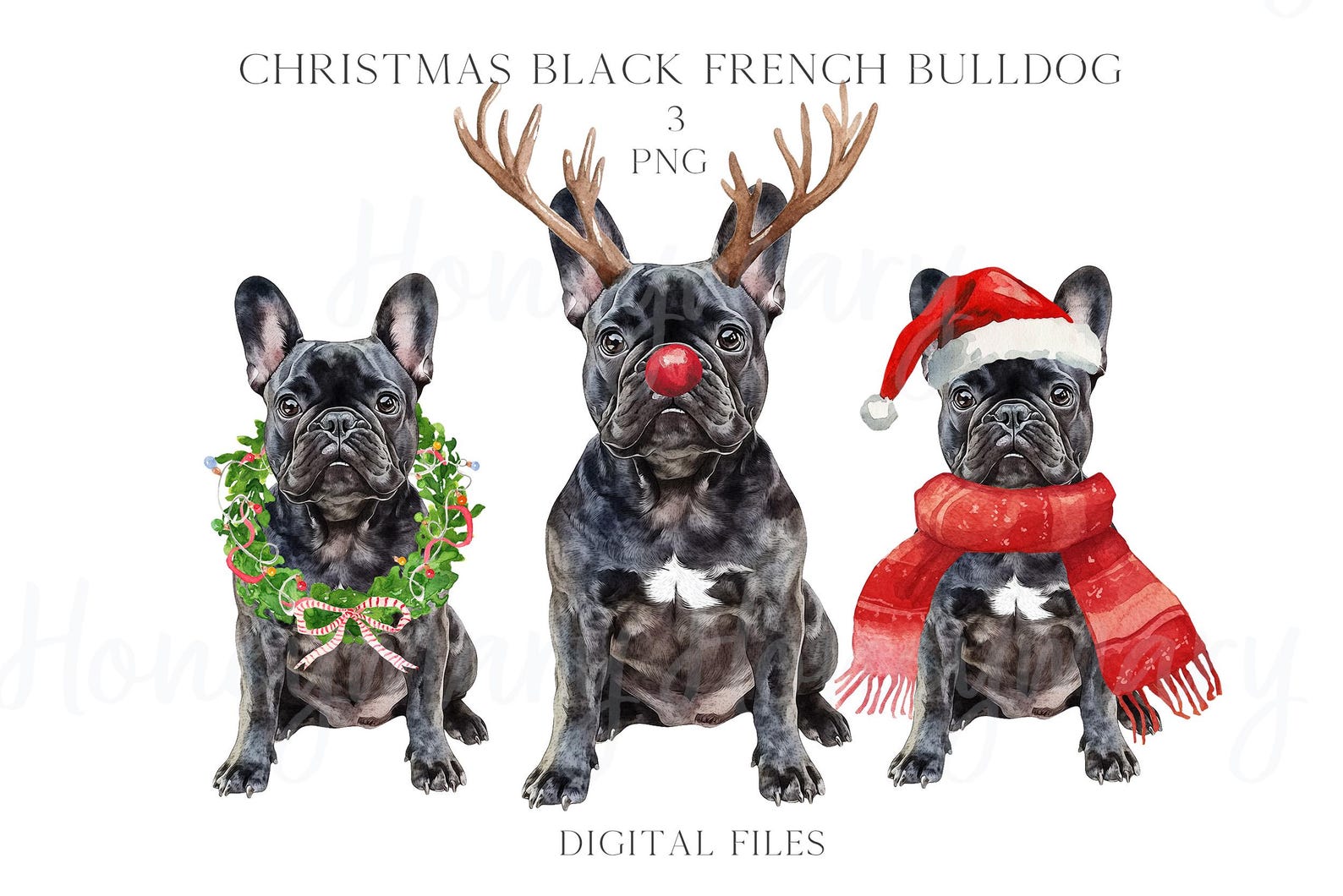 Watercolor Christmas French Bulldog Clipart, Santa Hat, Reindeer (PNG ...