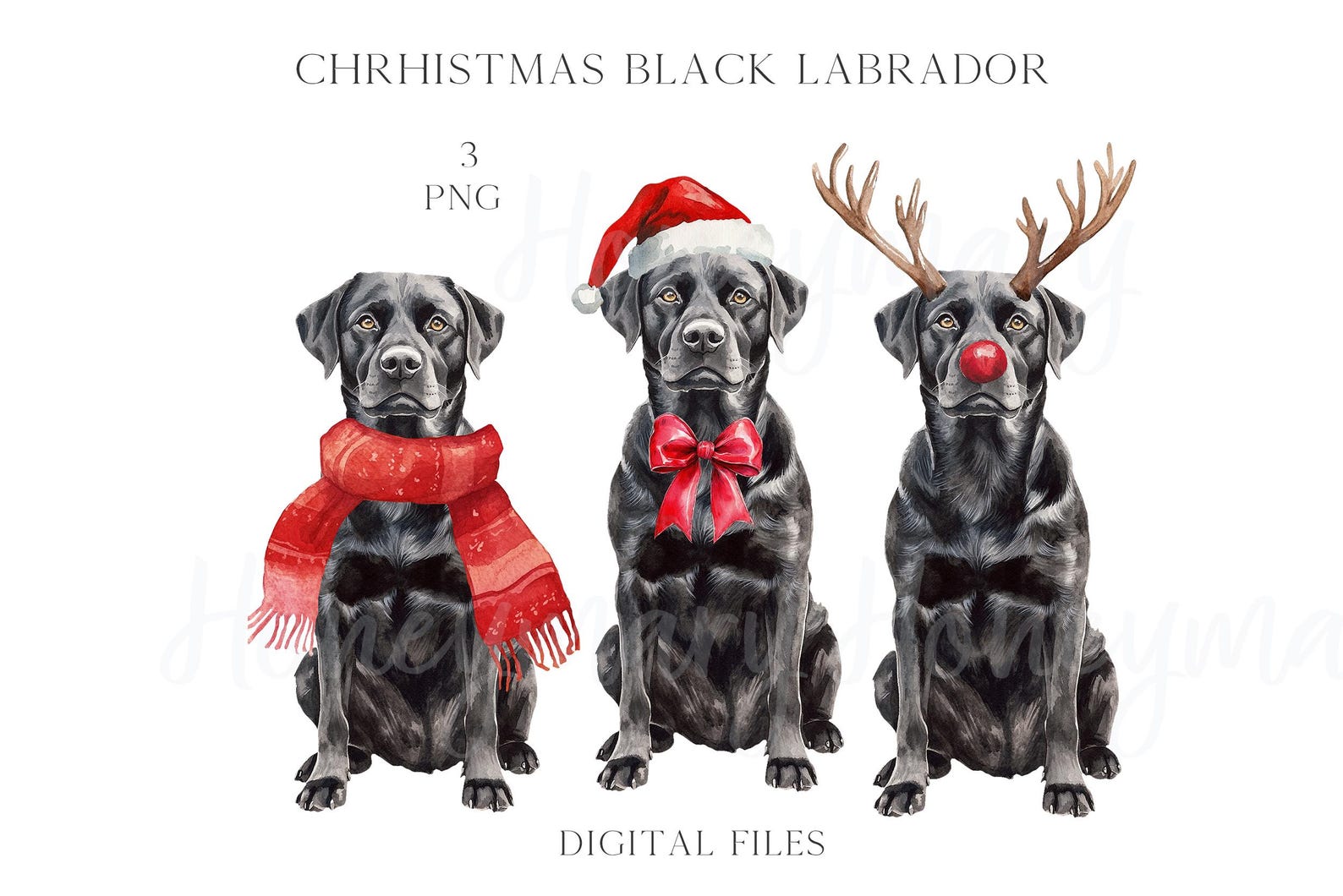 Watercolor Christmas Black Labrador PNG Clipart (commercial Use) - Etsy