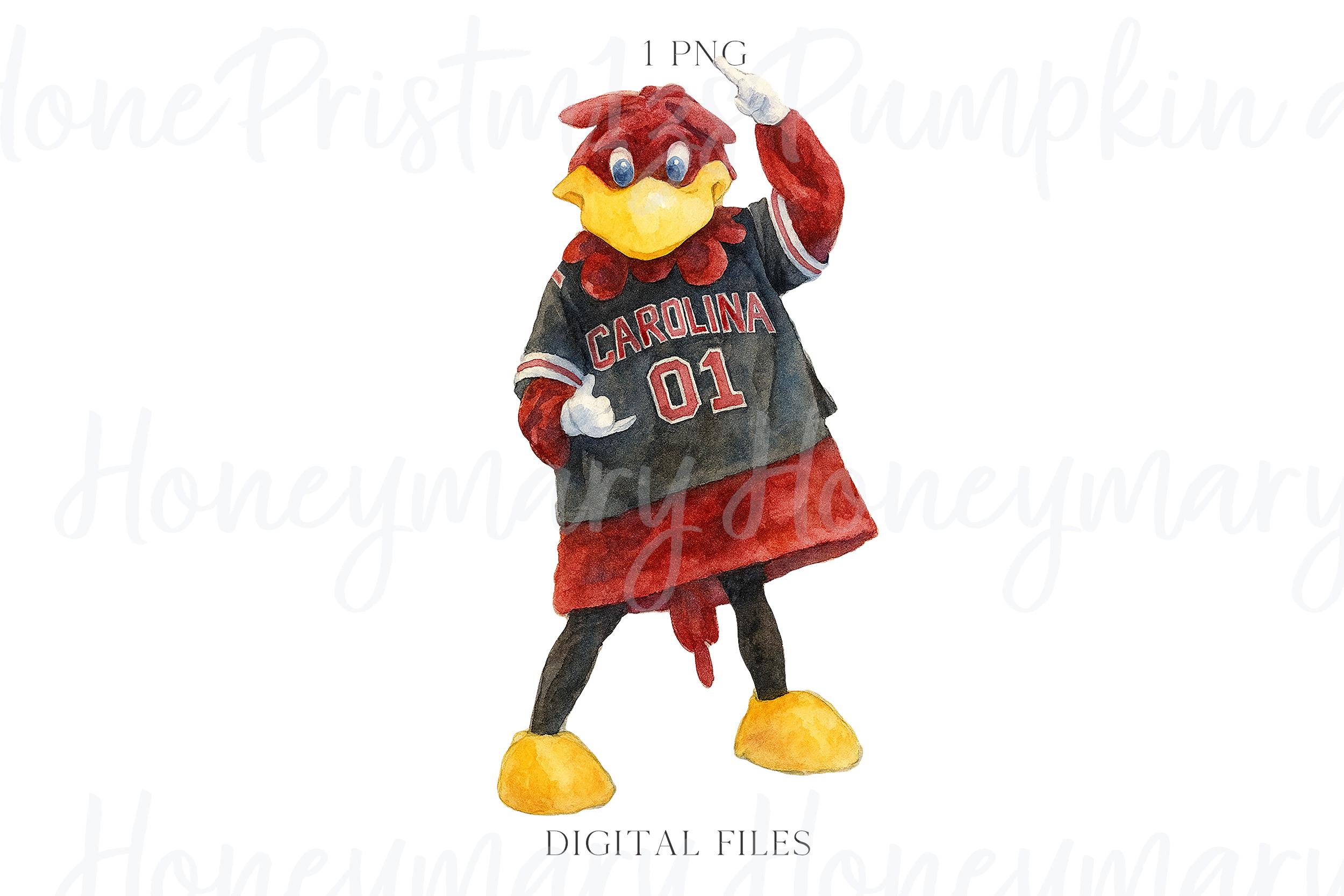 Cocky University of South Carolina Mascot Watercolor Clipart, PNG ...