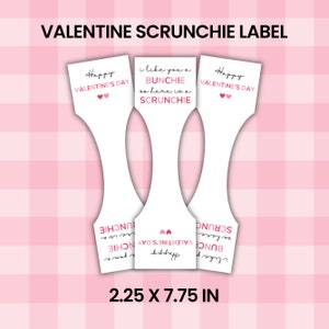 Valentine Scrunchie Tag Template, Scrunchie Valentines Tags Canva ...