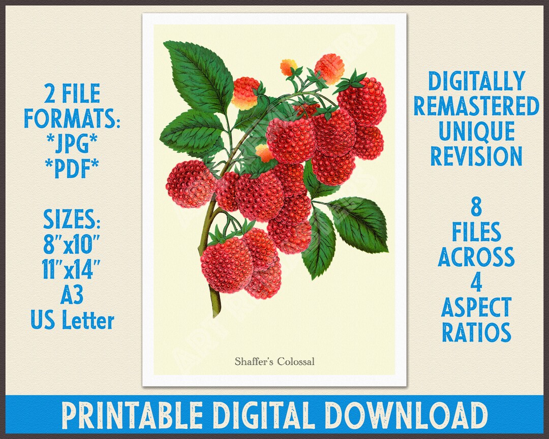 Raspberry Wall Art Raspberries Printable Kitchen Printable Printable ...