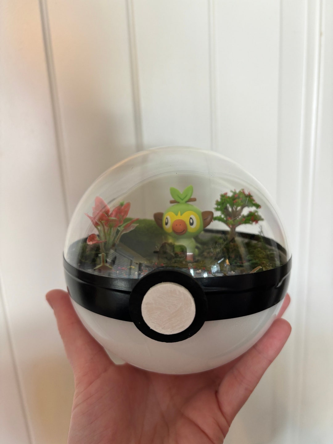 Grookey Pokemon Pokeball Terrarium - Etsy