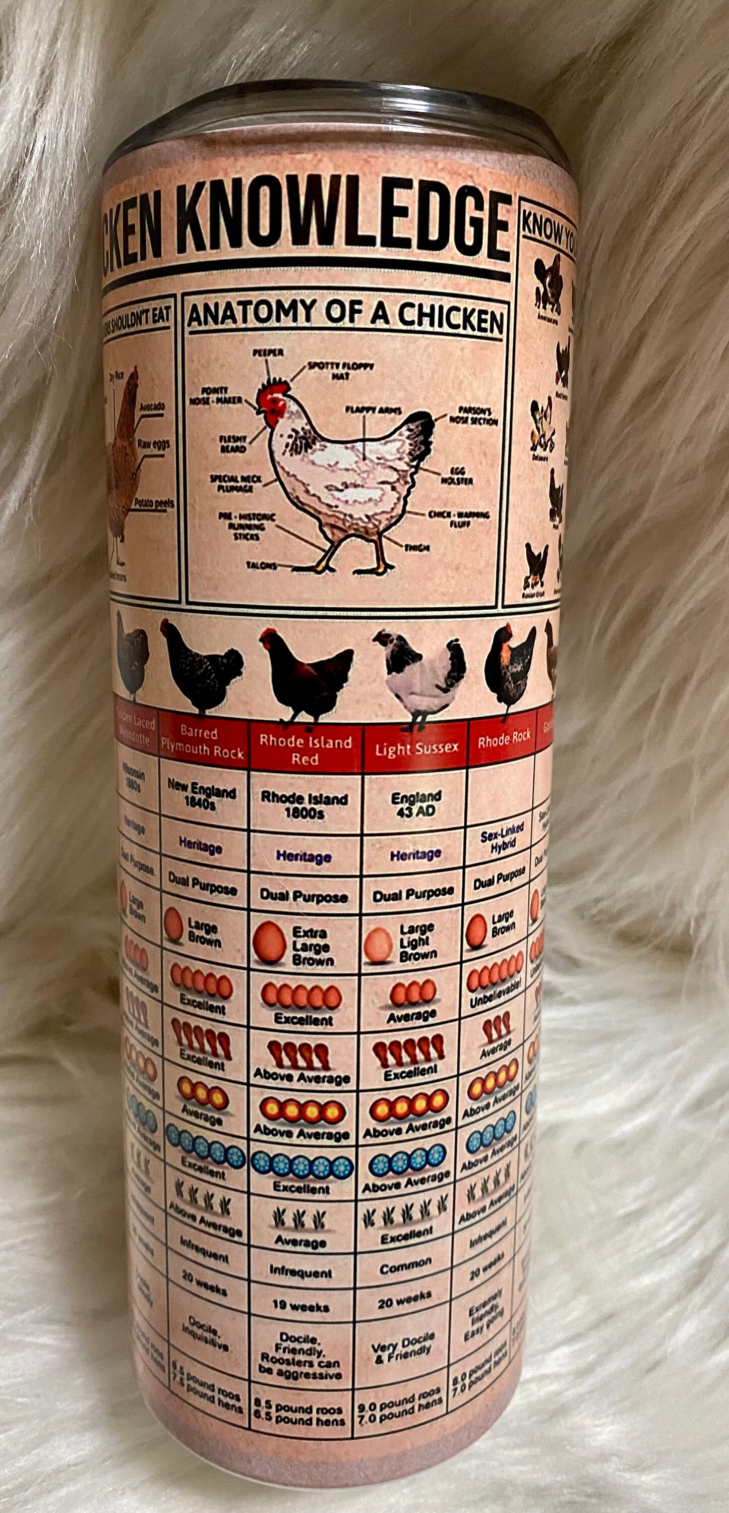 Cool Chicken Lady - Etsy