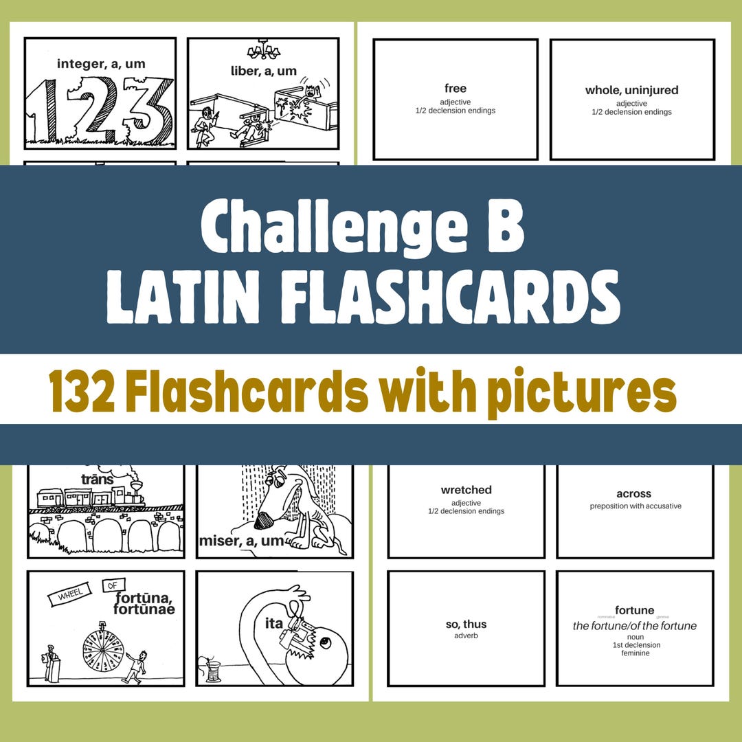 Booster Pack for Challenge B Henle Latin Vocabulary Cards With Pictures ...