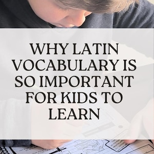 Henle Latin Vocabulary Flashcards With Pictures for Challenge B and ...