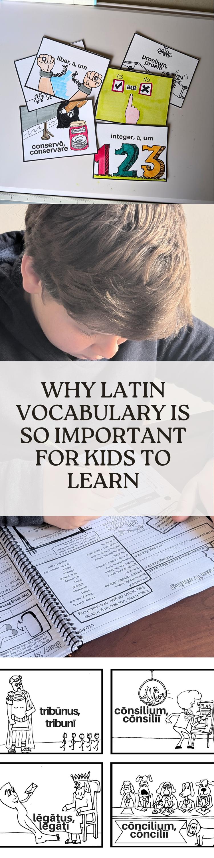 Henle Latin Vocabulary Flashcards Set B With Pictures for Classical ...