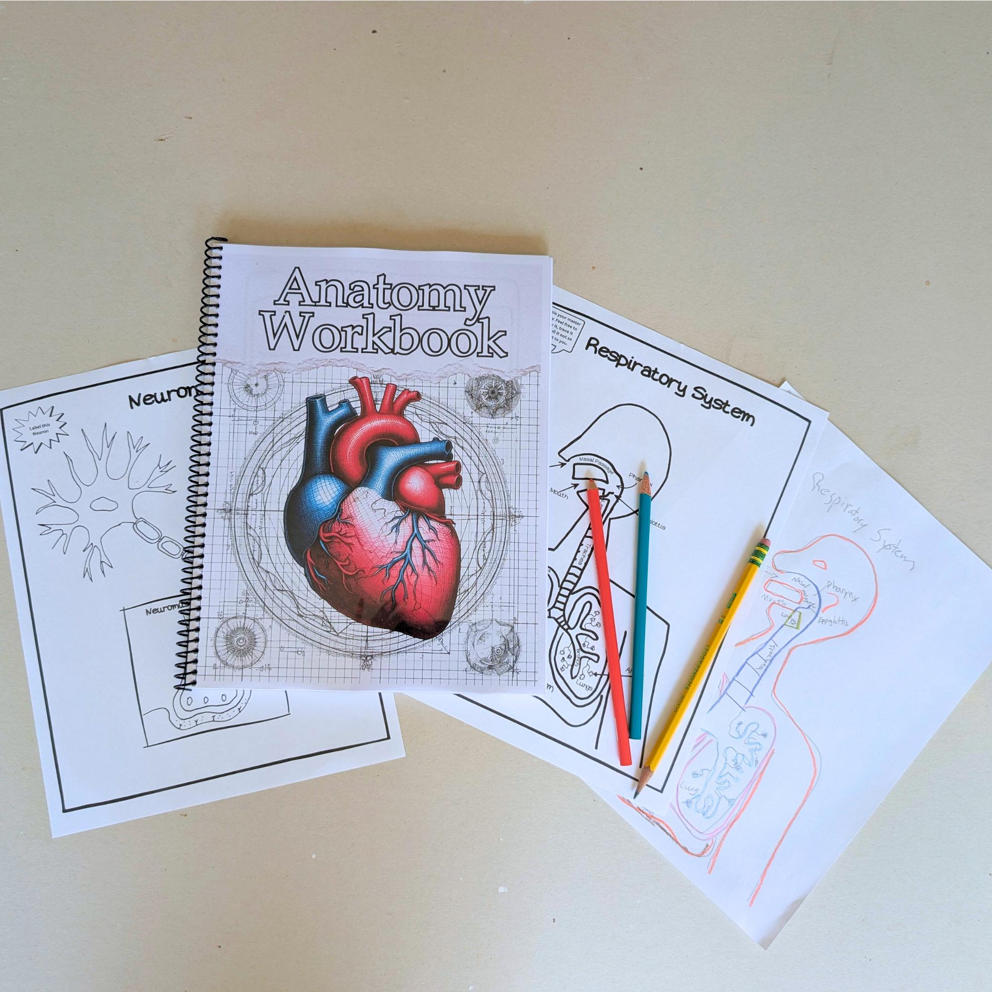Anatomy Workbook for Homeschoolers Printable Human Body Homeschool ...