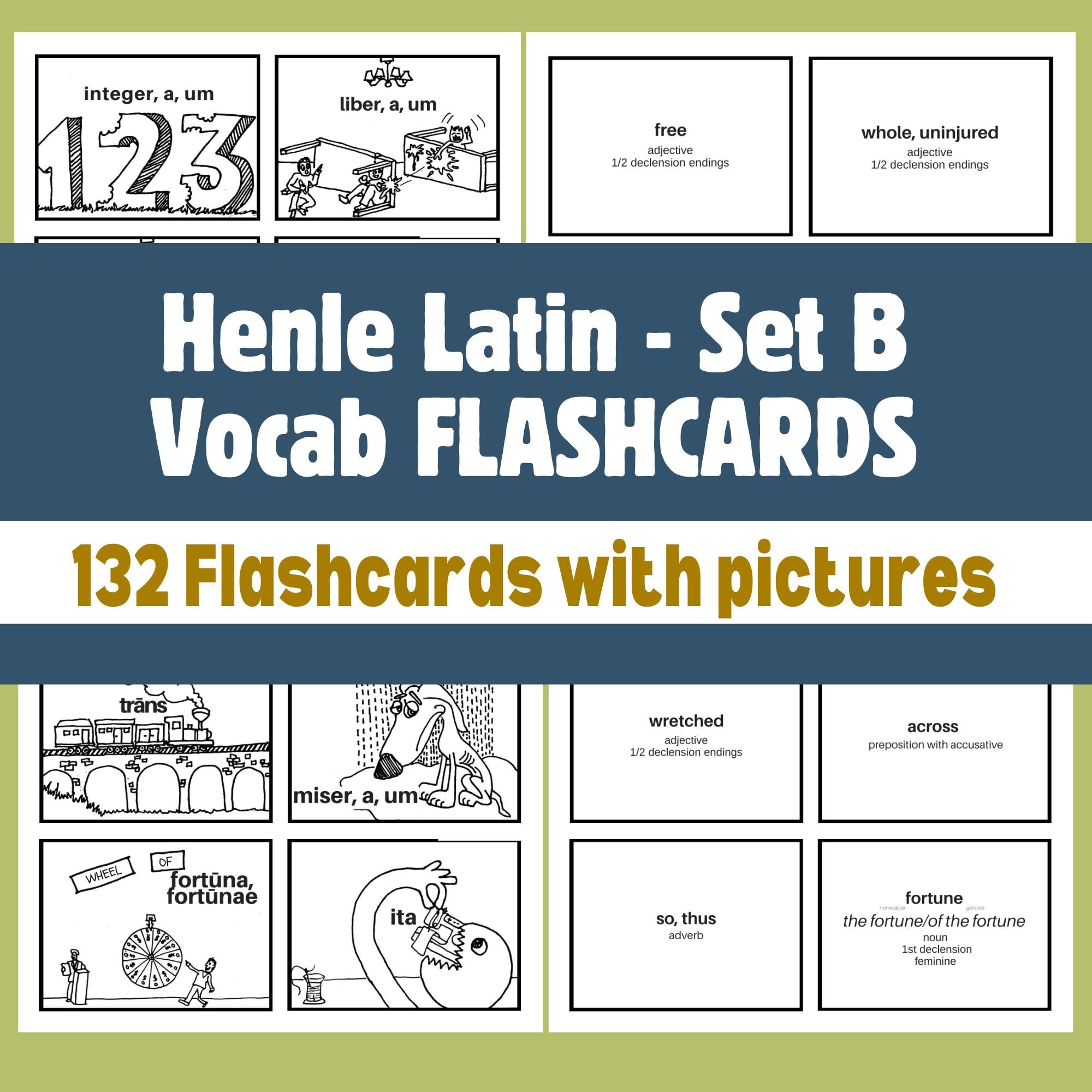 Booster Pack for SET B Henle Latin Vocabulary Cards With Pictures for ...