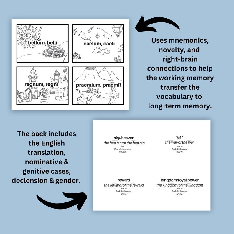 Henle Latin Flashcards Set A for Classical Students and Homeschool ...