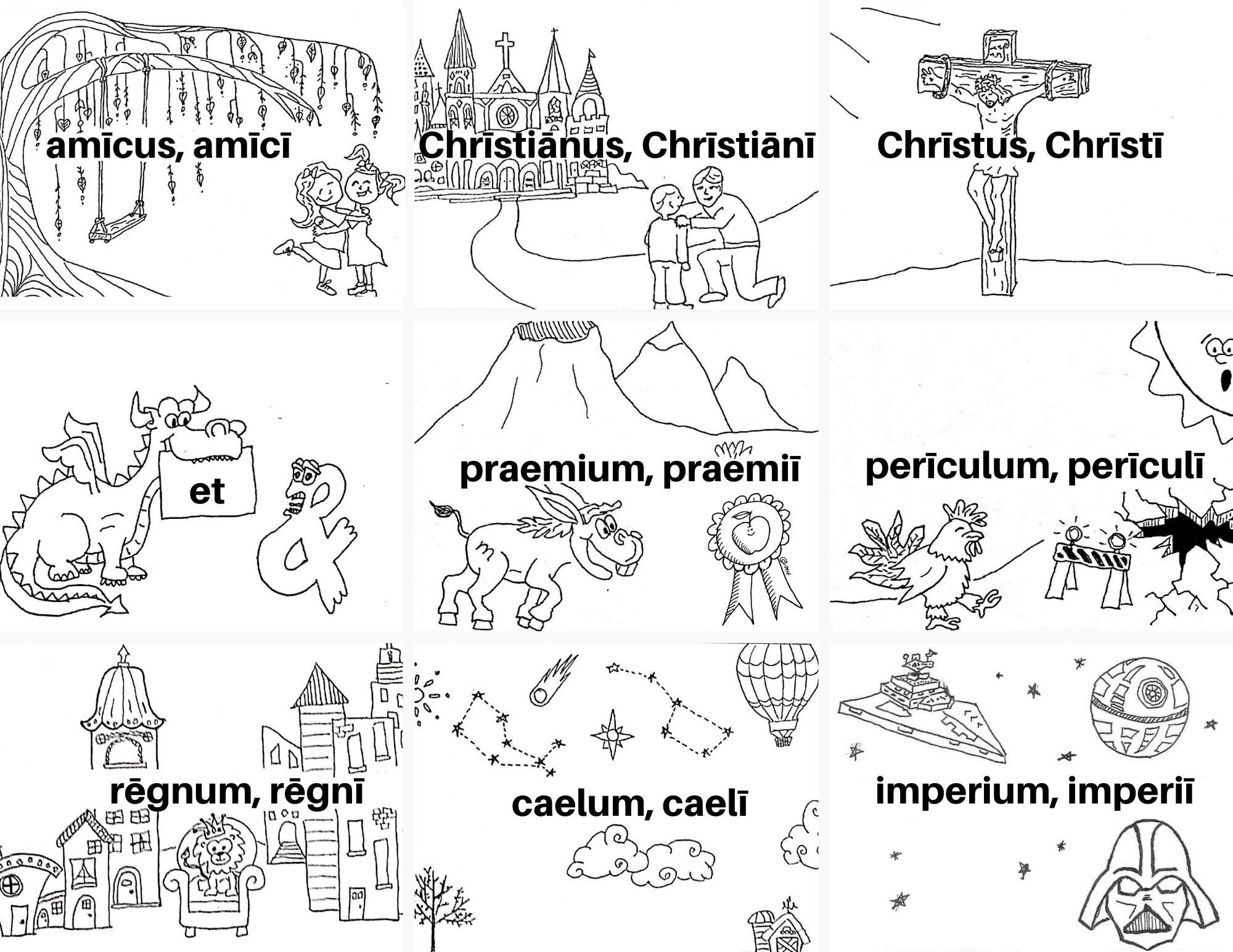Latin Flashcards Challenge A Henle Latin Flashcards with Pictures SMALL ...
