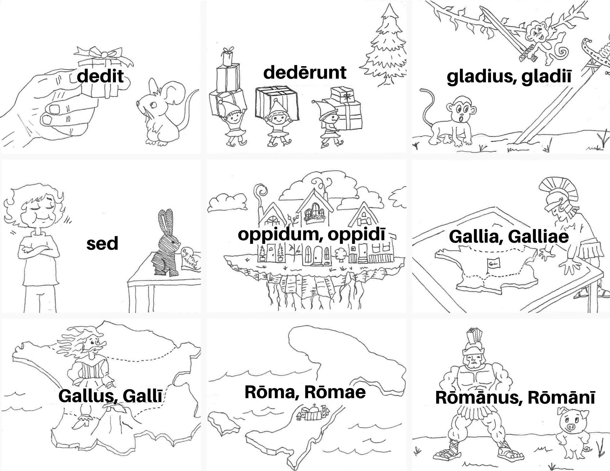 Latin Flashcards Challenge A Henle Latin Flashcards with Pictures SMALL ...