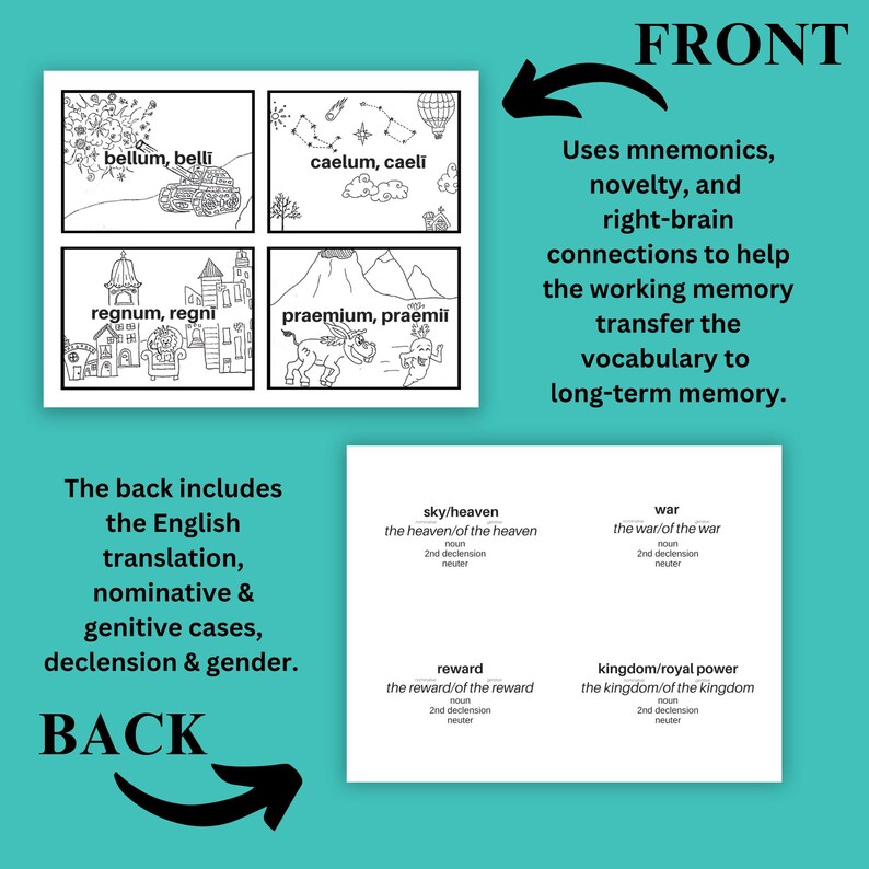 Henle Latin Vocabulary Flashcards Set B With Pictures for Classical ...