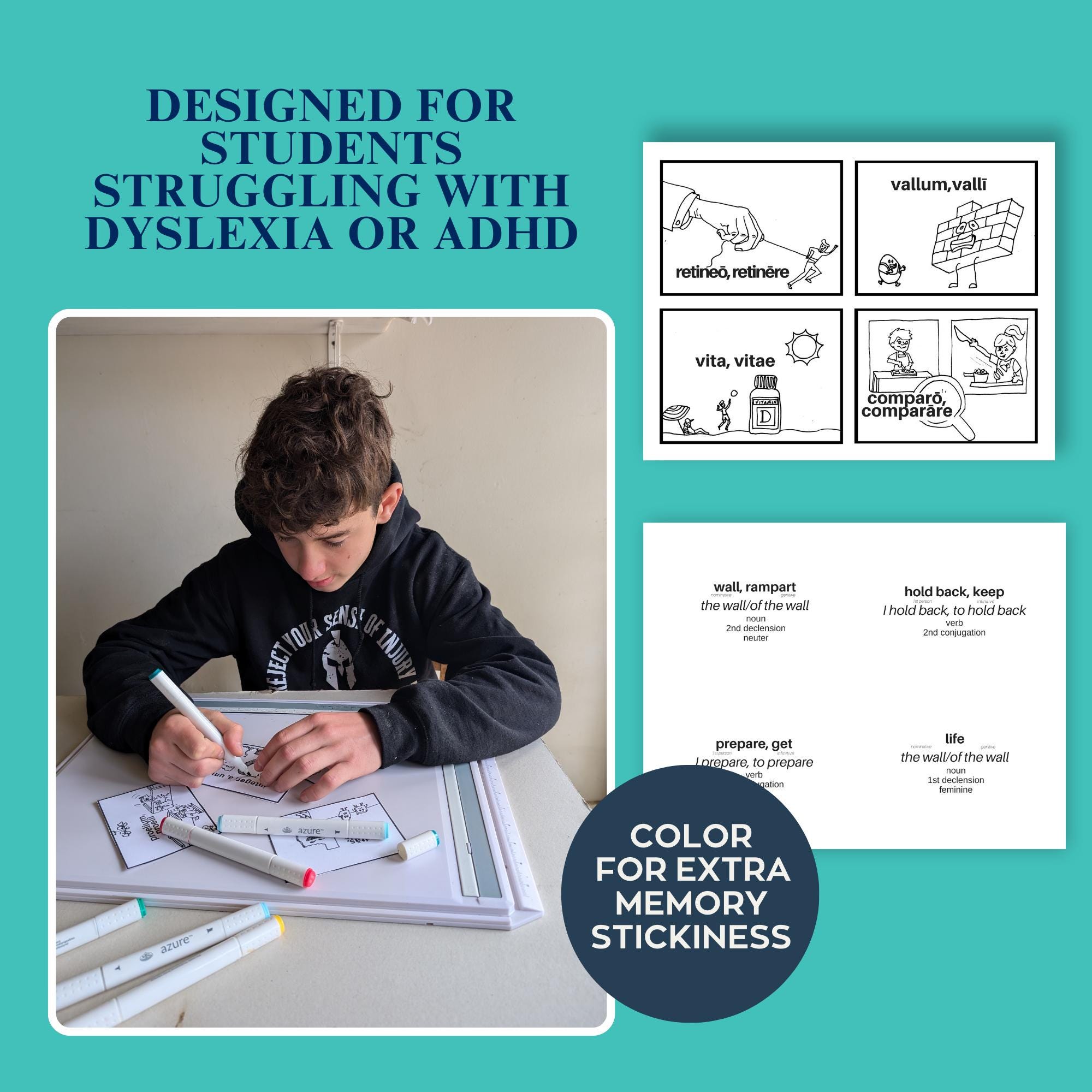 Henle Latin Vocabulary Flashcards Set B With Pictures for Classical ...