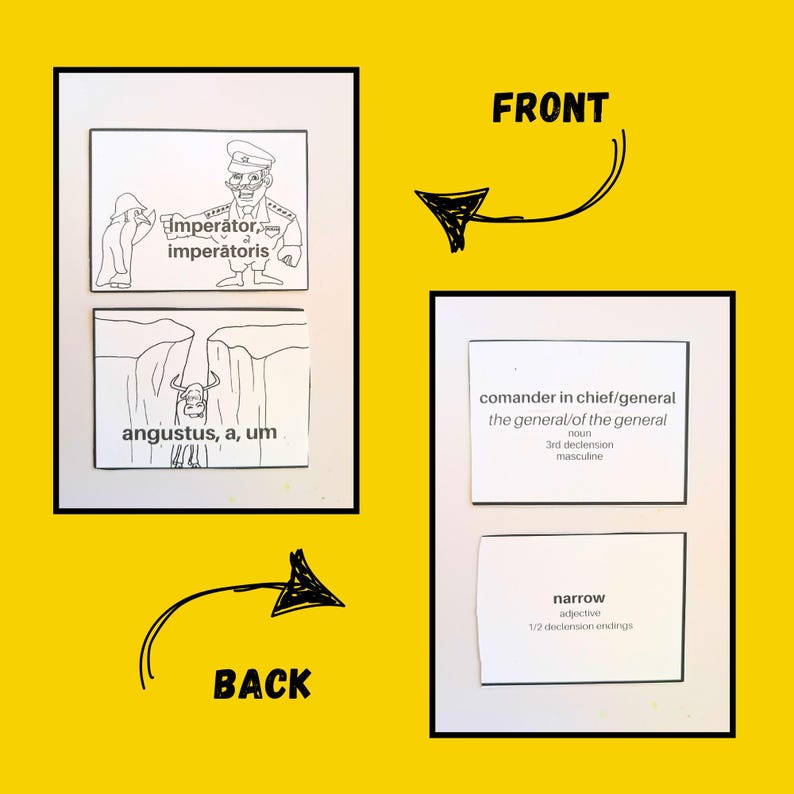 PRINTED Challenge 1 Henle CC Latin Vocabulary Flashcards With Pictures ...