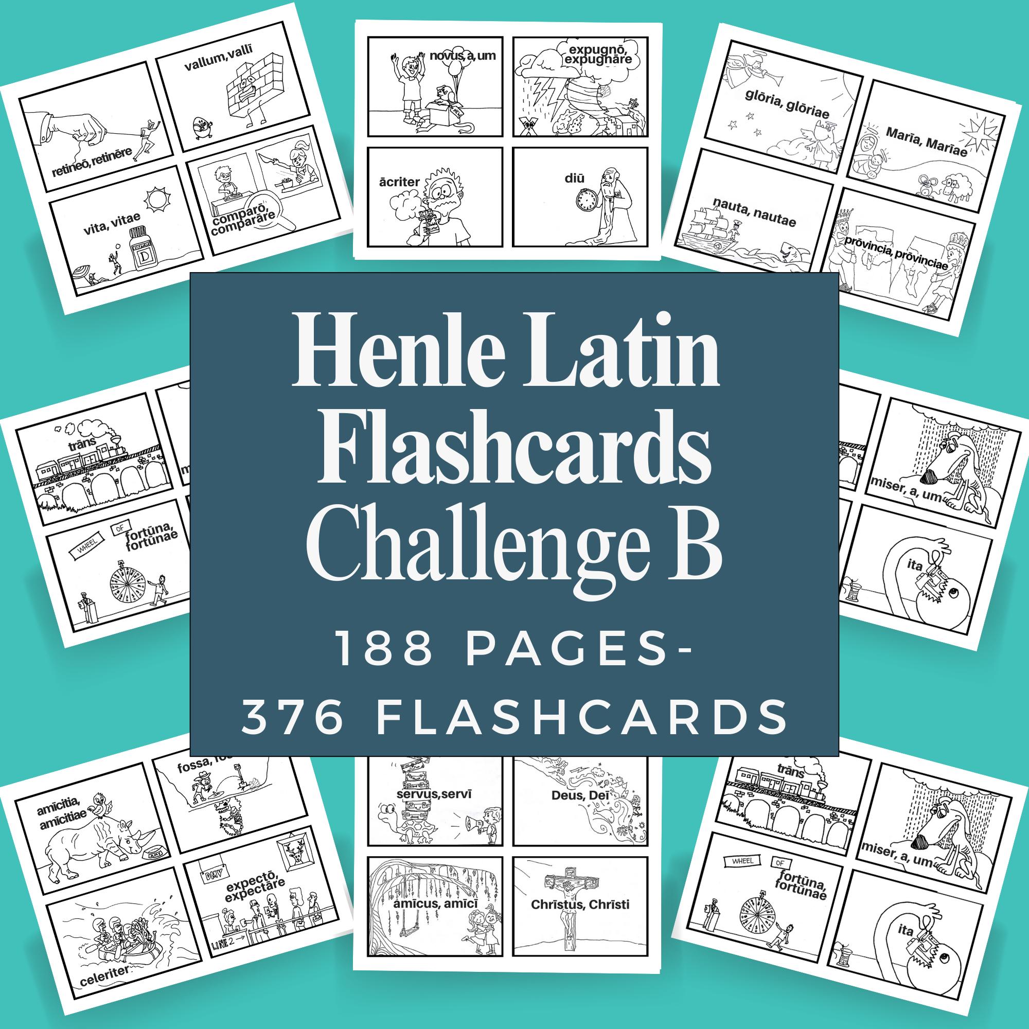 Henle Latin Vocabulary Flashcards With Pictures for Challenge B and ...