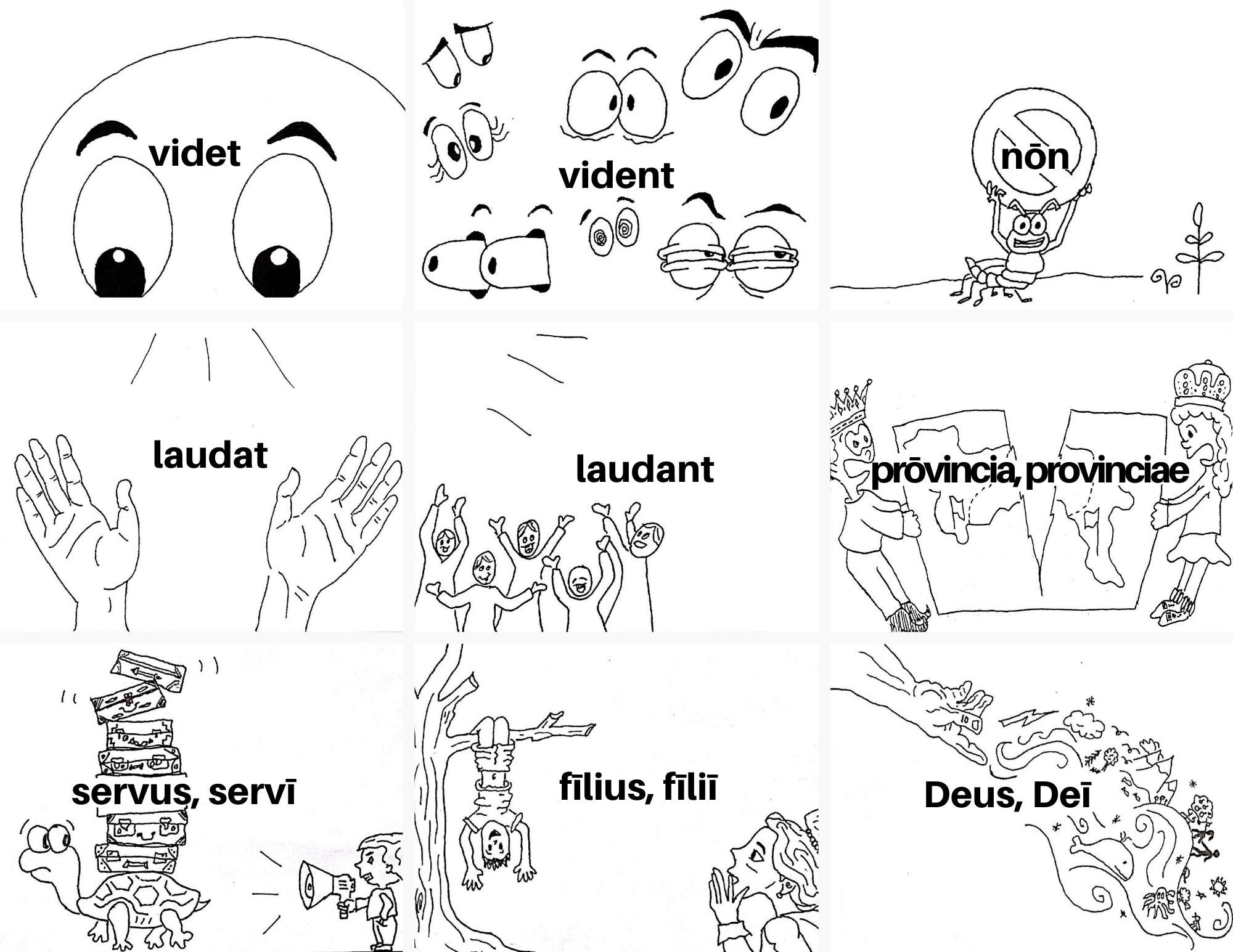 Latin Flashcards Challenge A Henle Latin Flashcards with Pictures SMALL ...