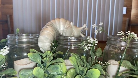 3D Printed Articulated Slug 3D Snail Flexible Slug | Etsy
