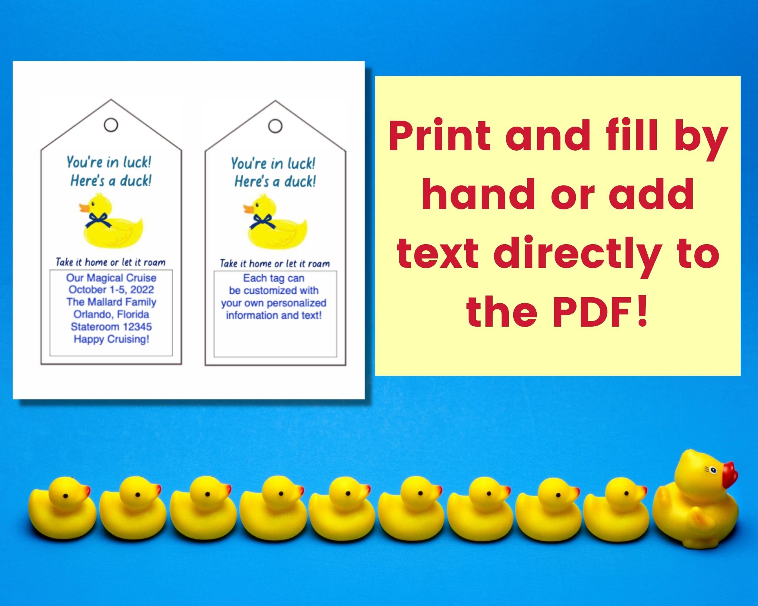 Cruise Duck Tags – Fillable & Printable Scavenger Hunt (PDF Download ...