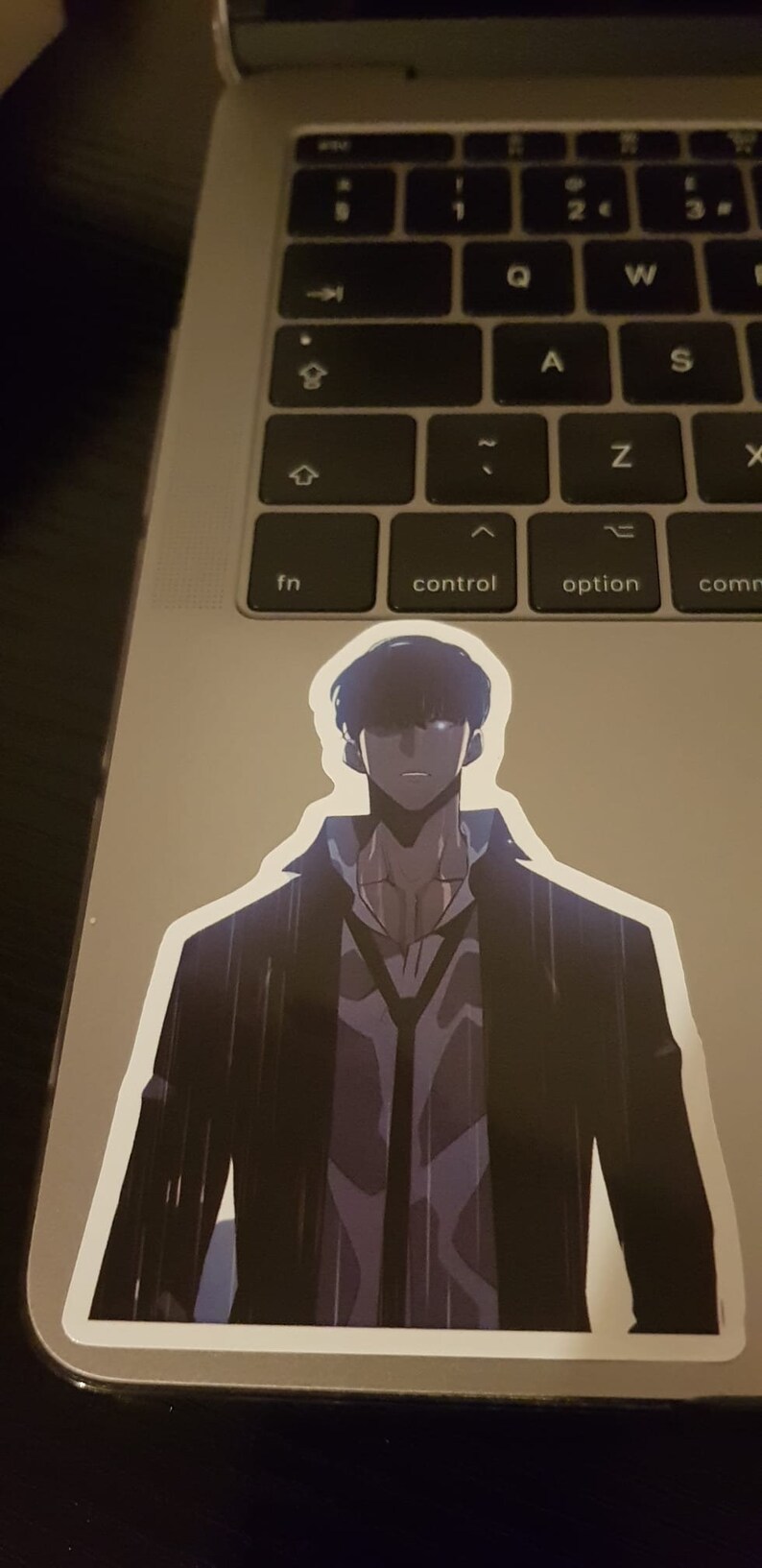 Sung Jin Woo Superior Solo Leveling Stickers | Etsy