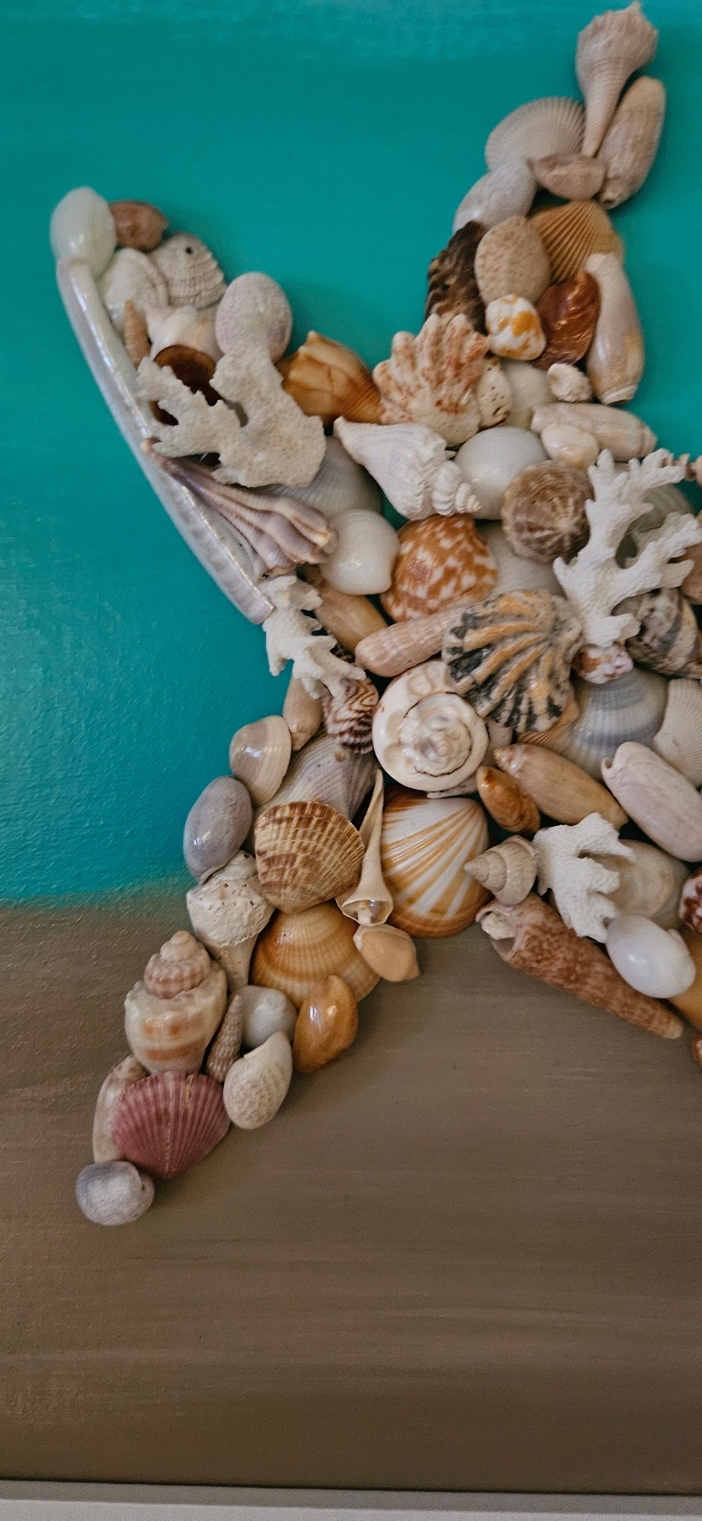 Sea Shell Starfish Wall Hanging - Sea Shell Art - Coastal Decor - Etsy