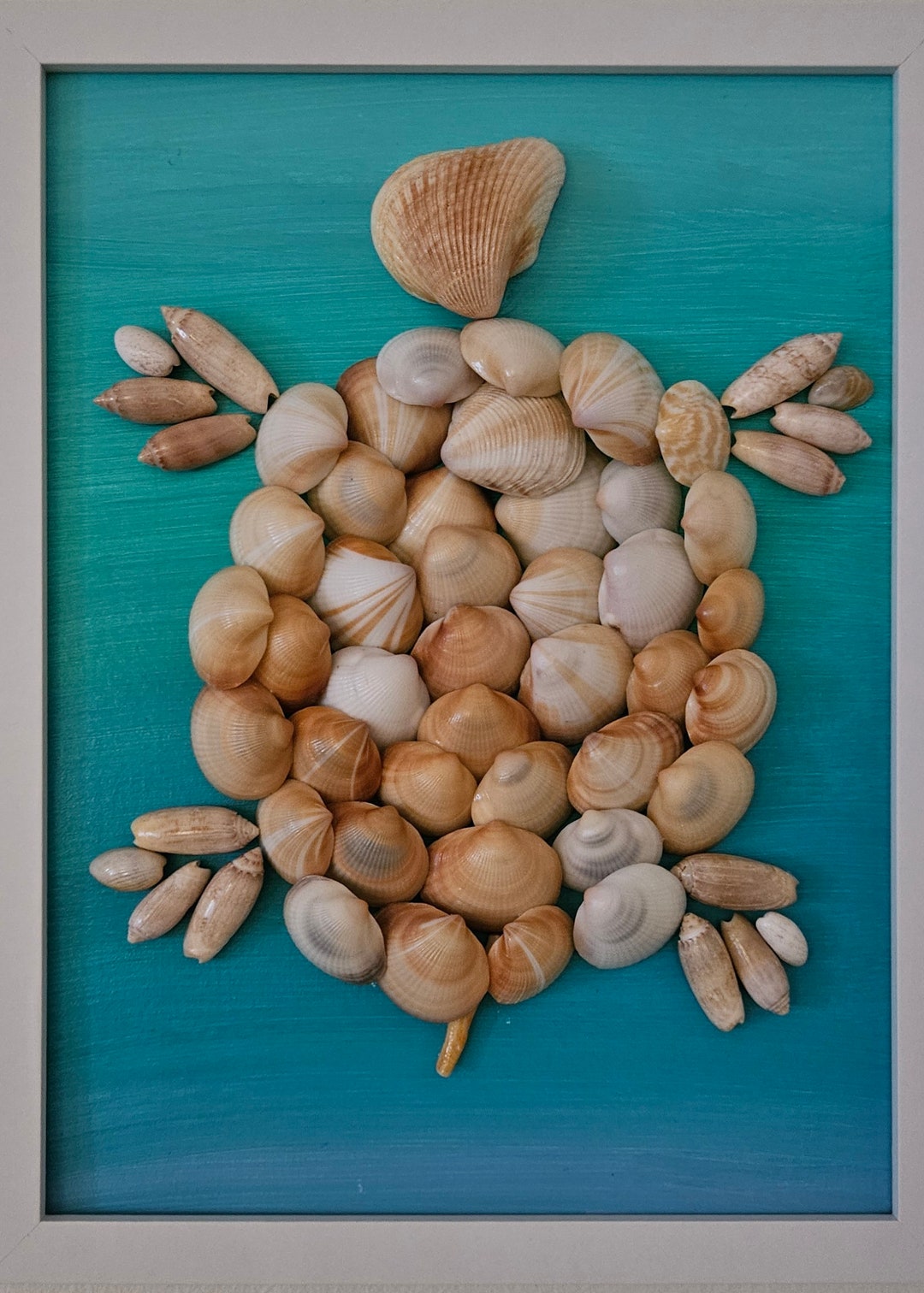 Sea Shell Turtle Wall Hanging - Sea Shell Art - Coastal Decor - Etsy