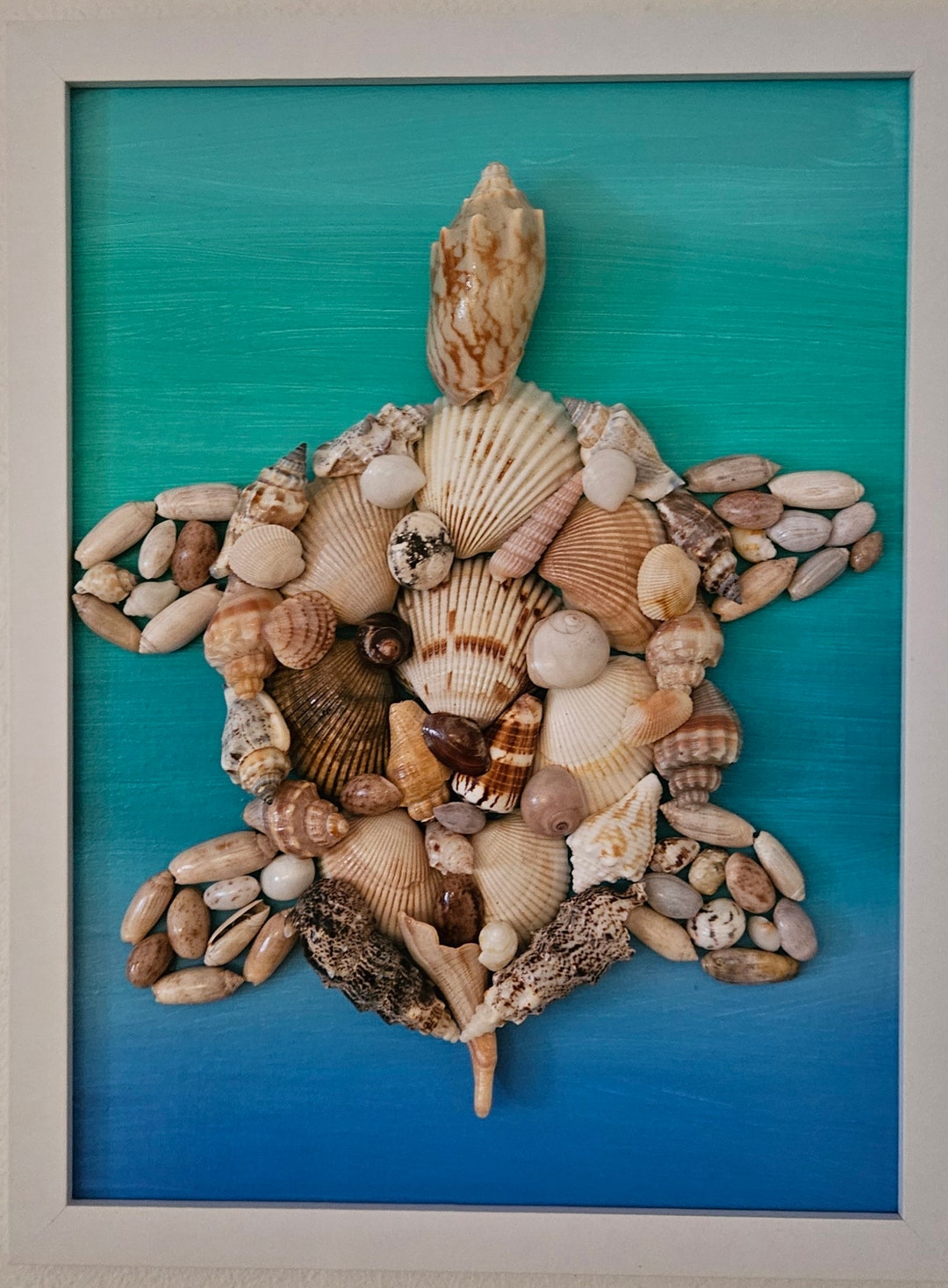 Sea Shell Turtle Wall Hanging - Sea Shell Art - Coastal Decor - Etsy