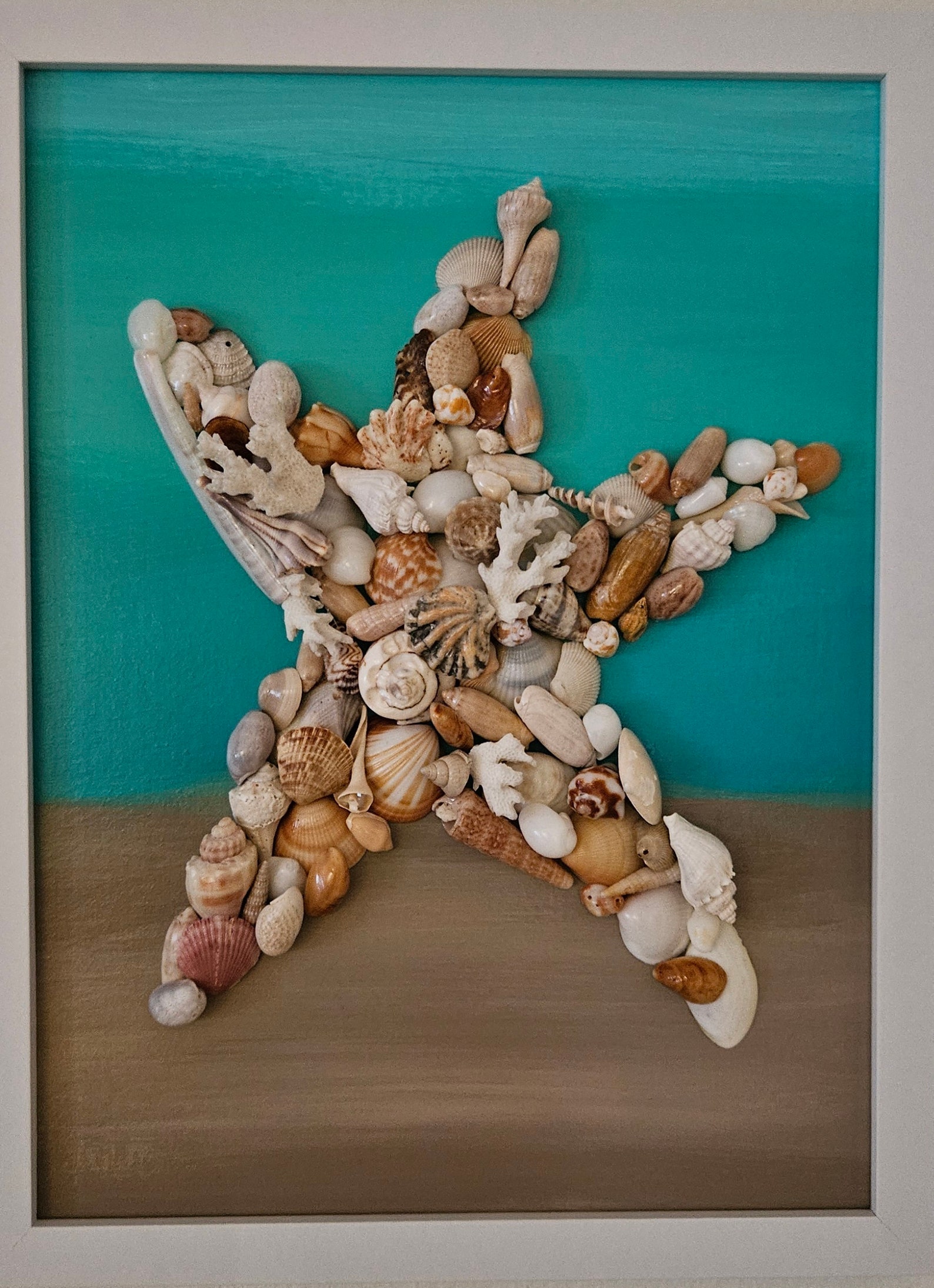 Sea Shell Starfish Wall Hanging - Sea Shell Art - Coastal Decor - Etsy