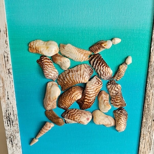 Manta Ray Wall Hanging - Sea Shell Art - Coastal Decor - Etsy