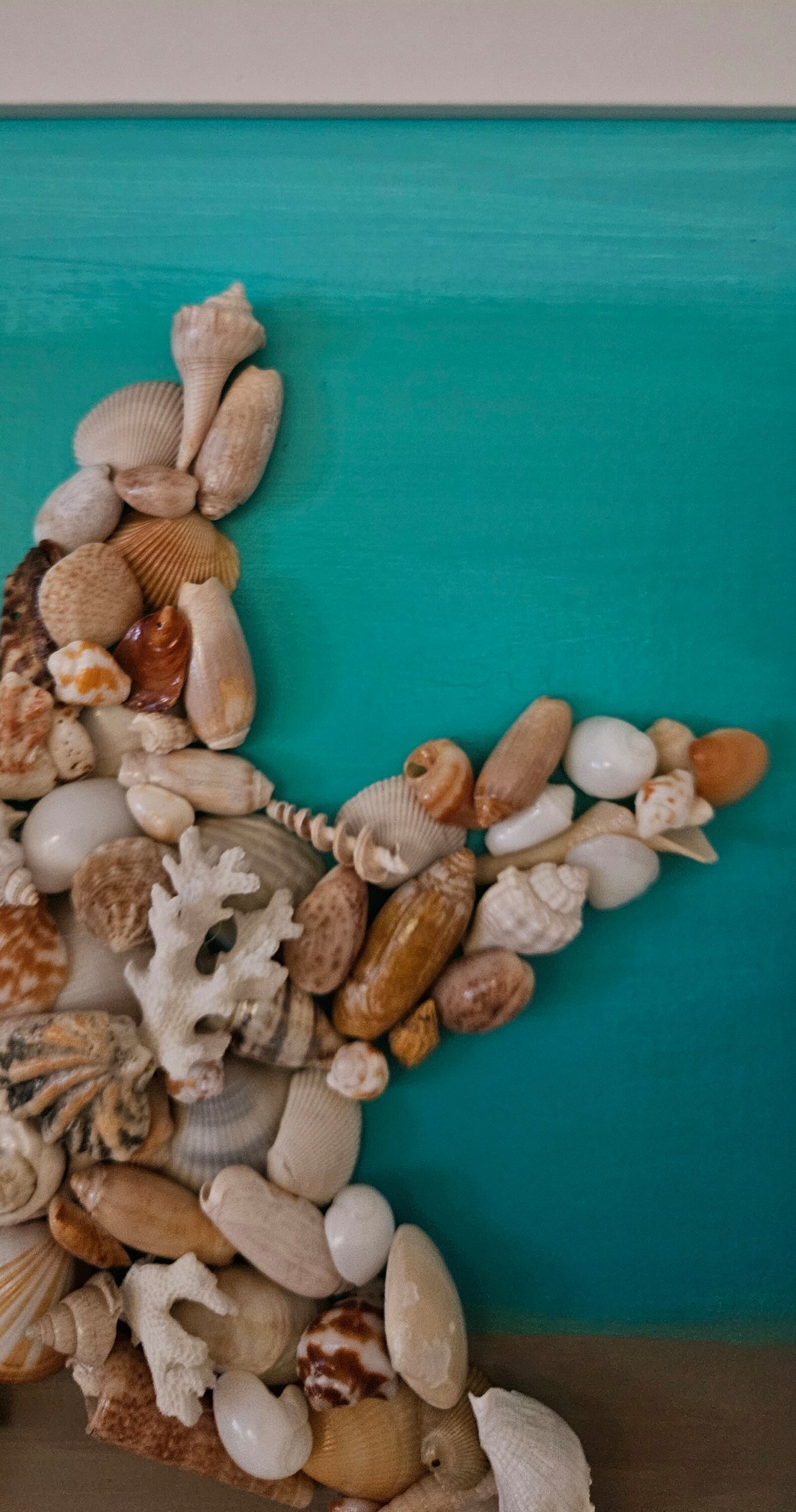 Sea Shell Starfish Wall Hanging - Sea Shell Art - Coastal Decor - Etsy