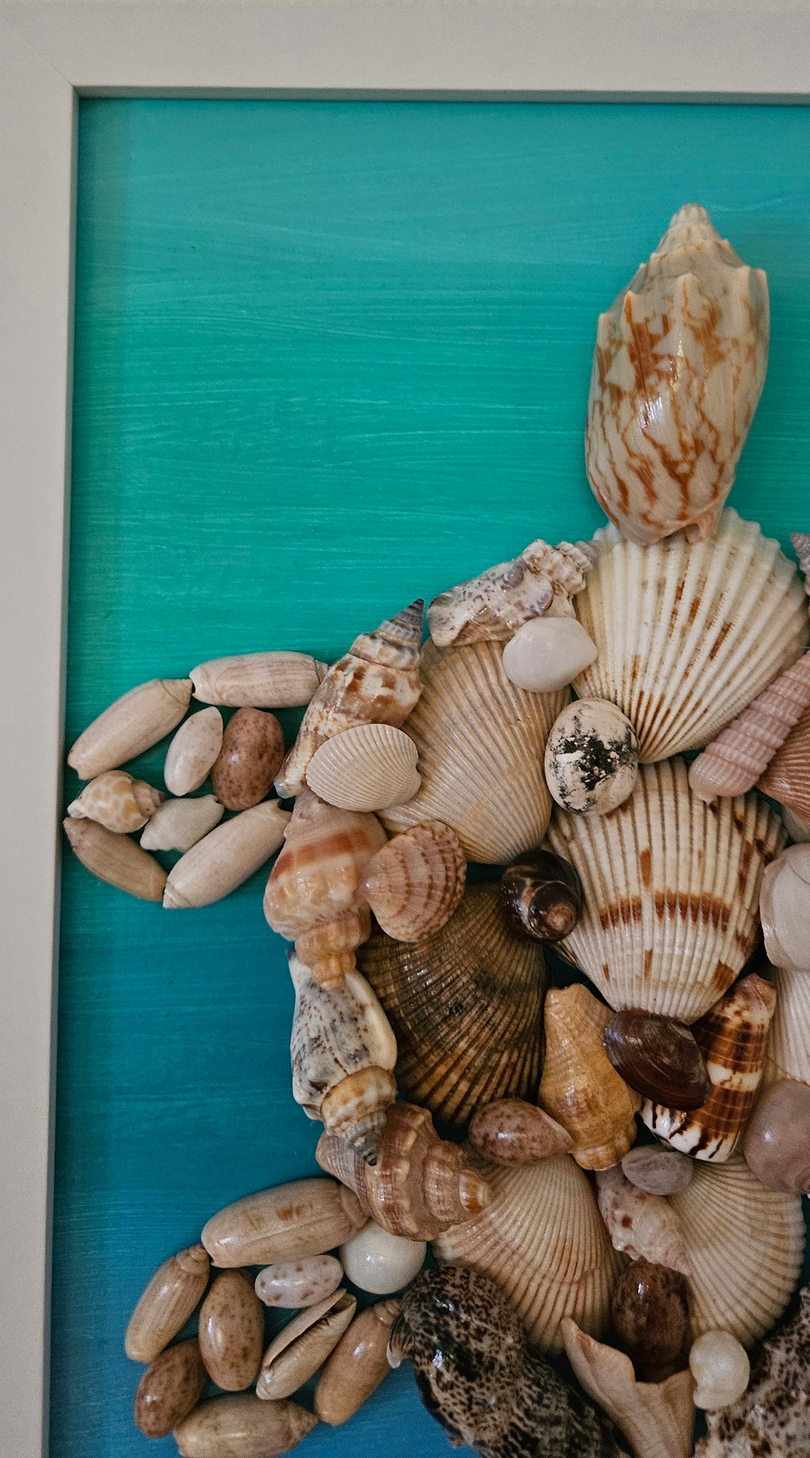 Sea Shell Turtle Wall Hanging - Sea Shell Art - Coastal Decor - Etsy