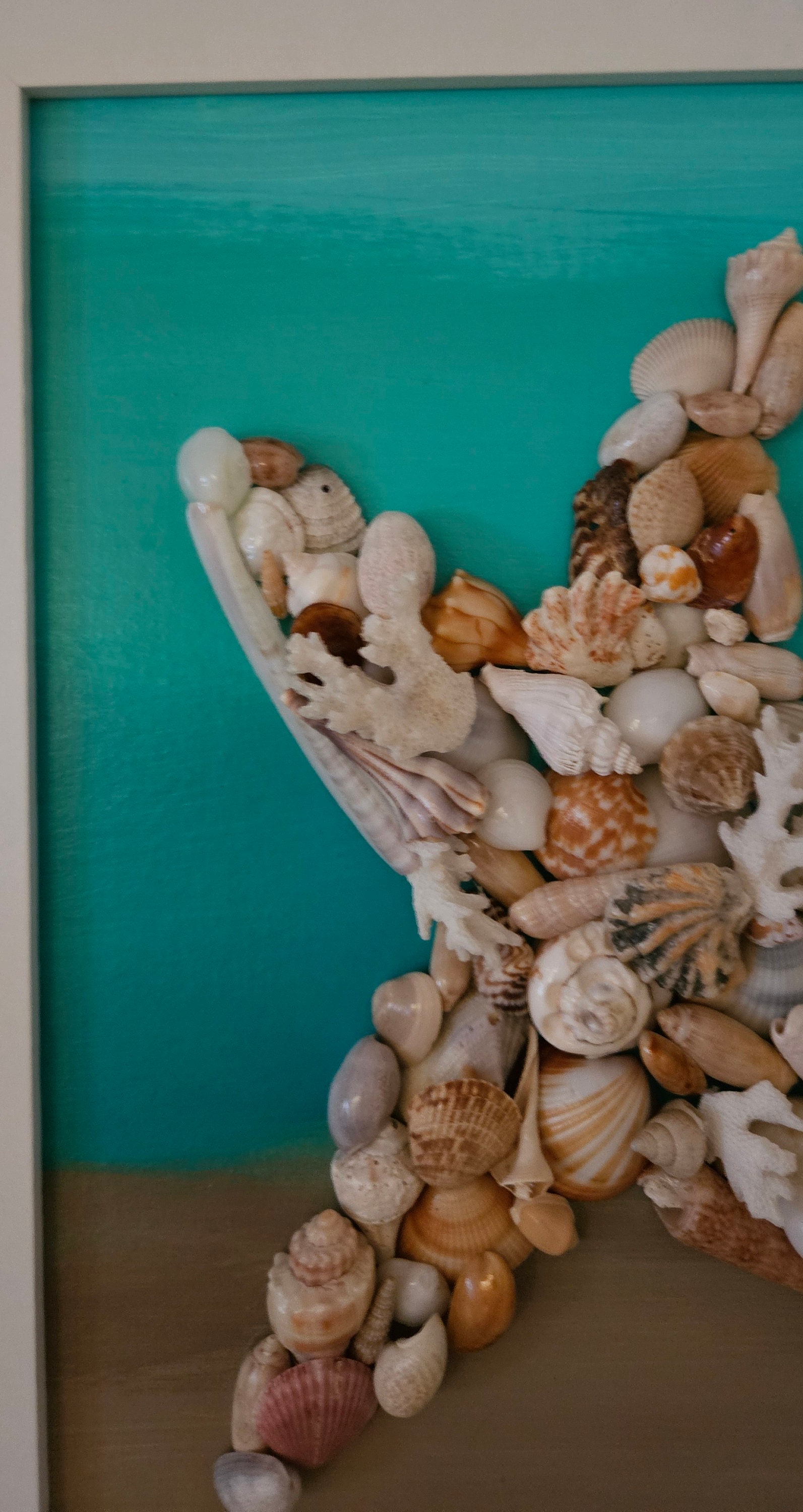 Sea Shell Starfish Wall Hanging - Sea Shell Art - Coastal Decor - Etsy