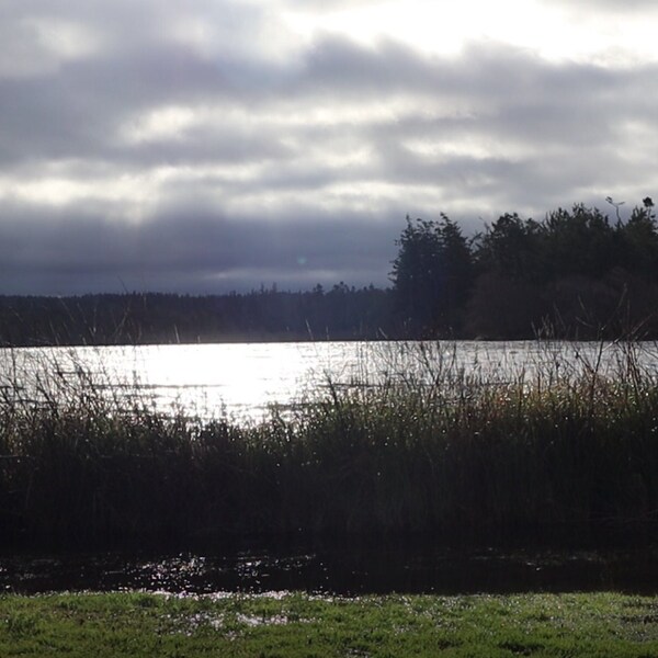 Deception Pass Svg - Etsy