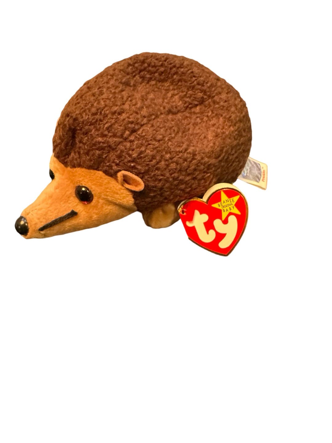 Prickles the Hedgehog TY Beanie Baby - Etsy