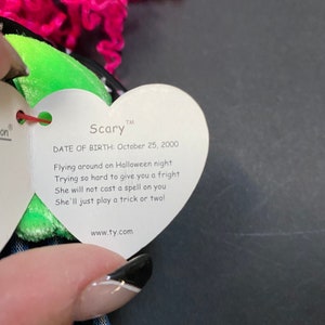 Scary the Witch Ty Beanie Baby - Etsy